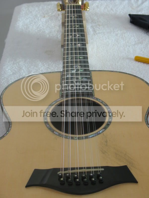 A Taylor Fixed. | Unofficial Warmoth Forum