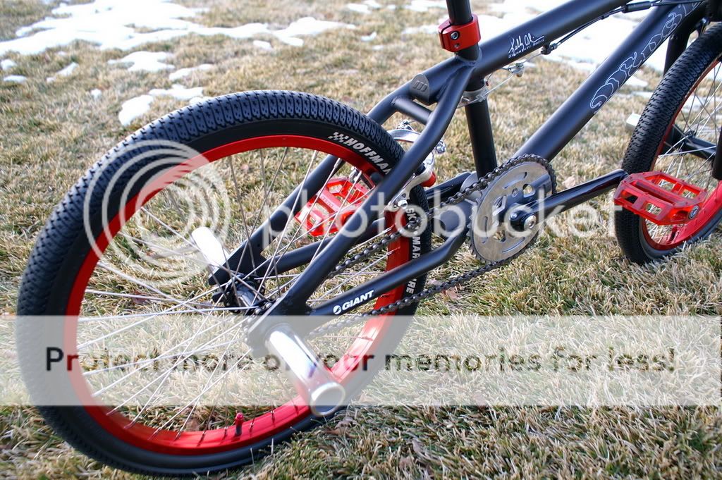 How to print stickers using your inkjet printer - BMXmuseum.com Forums