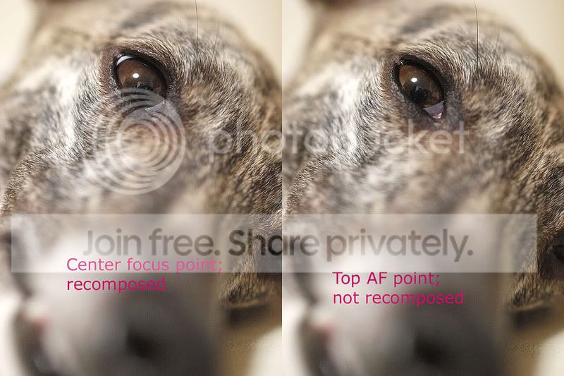 I need more than 3 AF points!: Olympus SLR Talk Forum: Digital ...