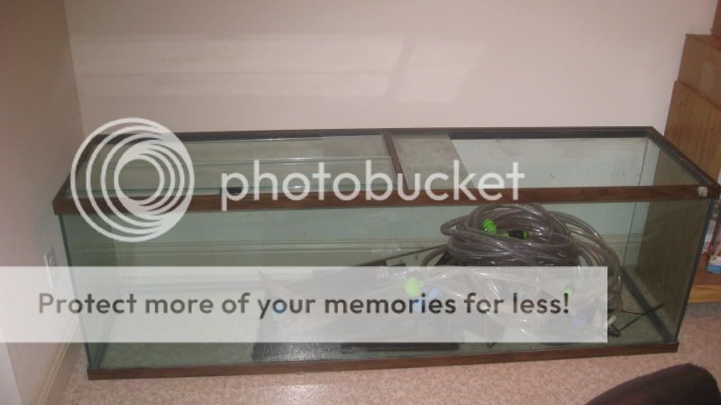 My DIY 150g Tank Project | Cichlid Fish Forum