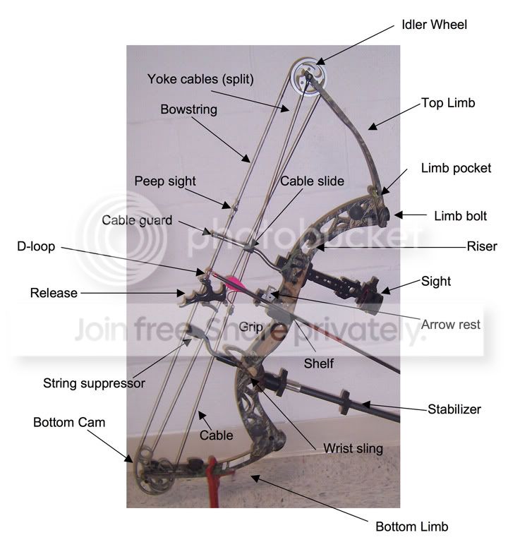 can someone please tell me what" STS " is | Archery Talk Forum