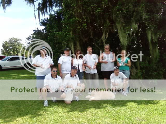 Pics from Errol Estate Car Show | LX Forums Forum