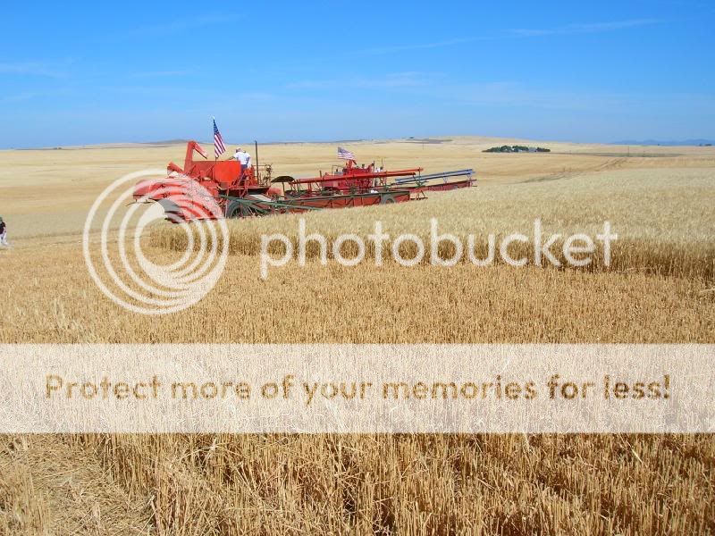 Pictures-Experimental Massey-Harris SP Combine In Kansas - General Chat ...